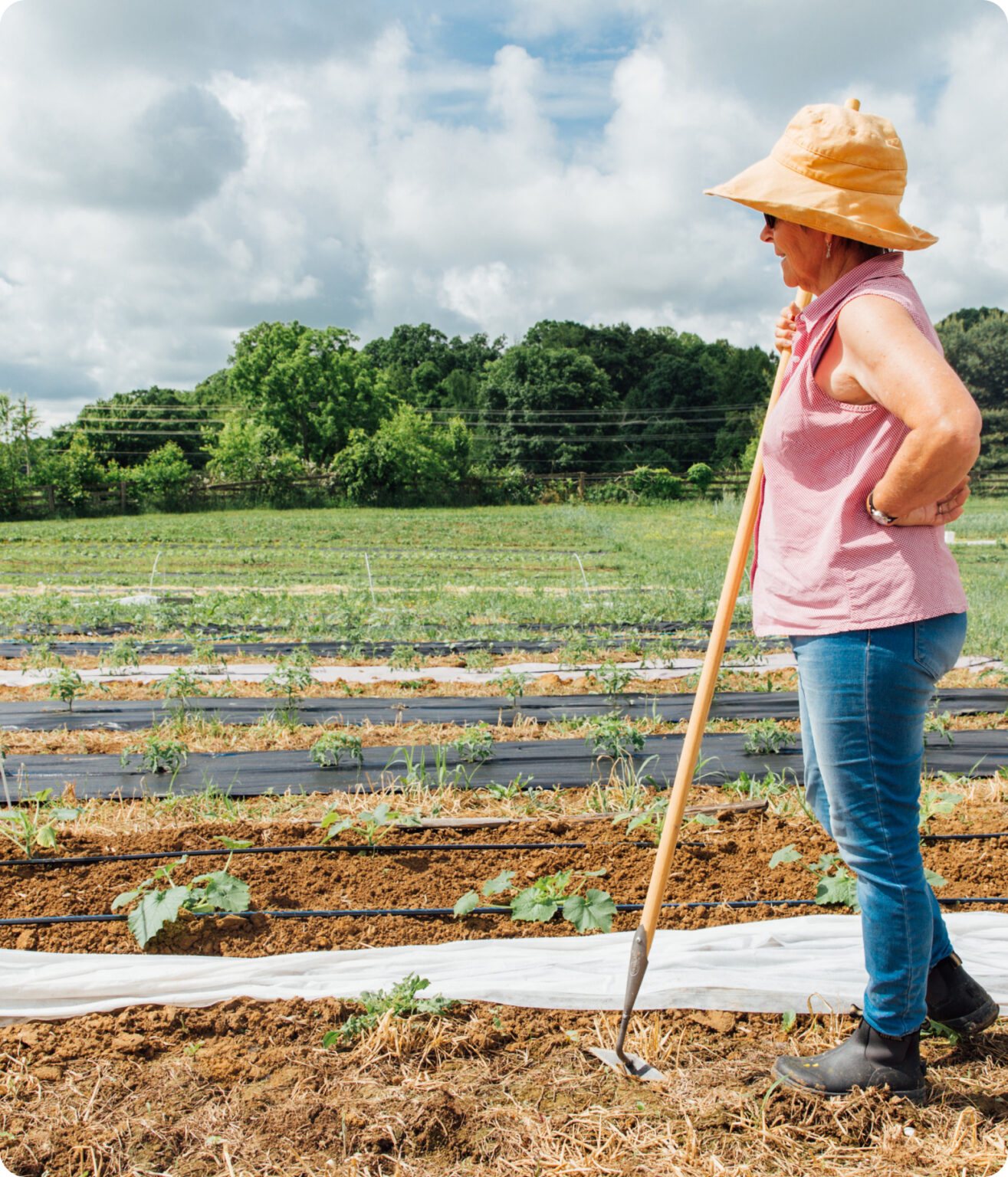Farmer & Gardener Training - ARCD